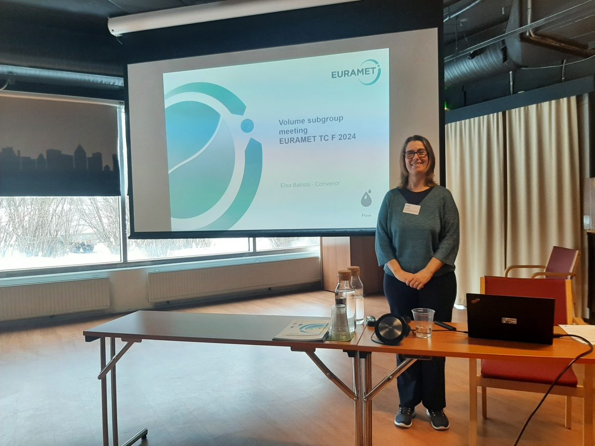Participação do IPQ na reunião EURAMET TC Flow 2024 – IPQ